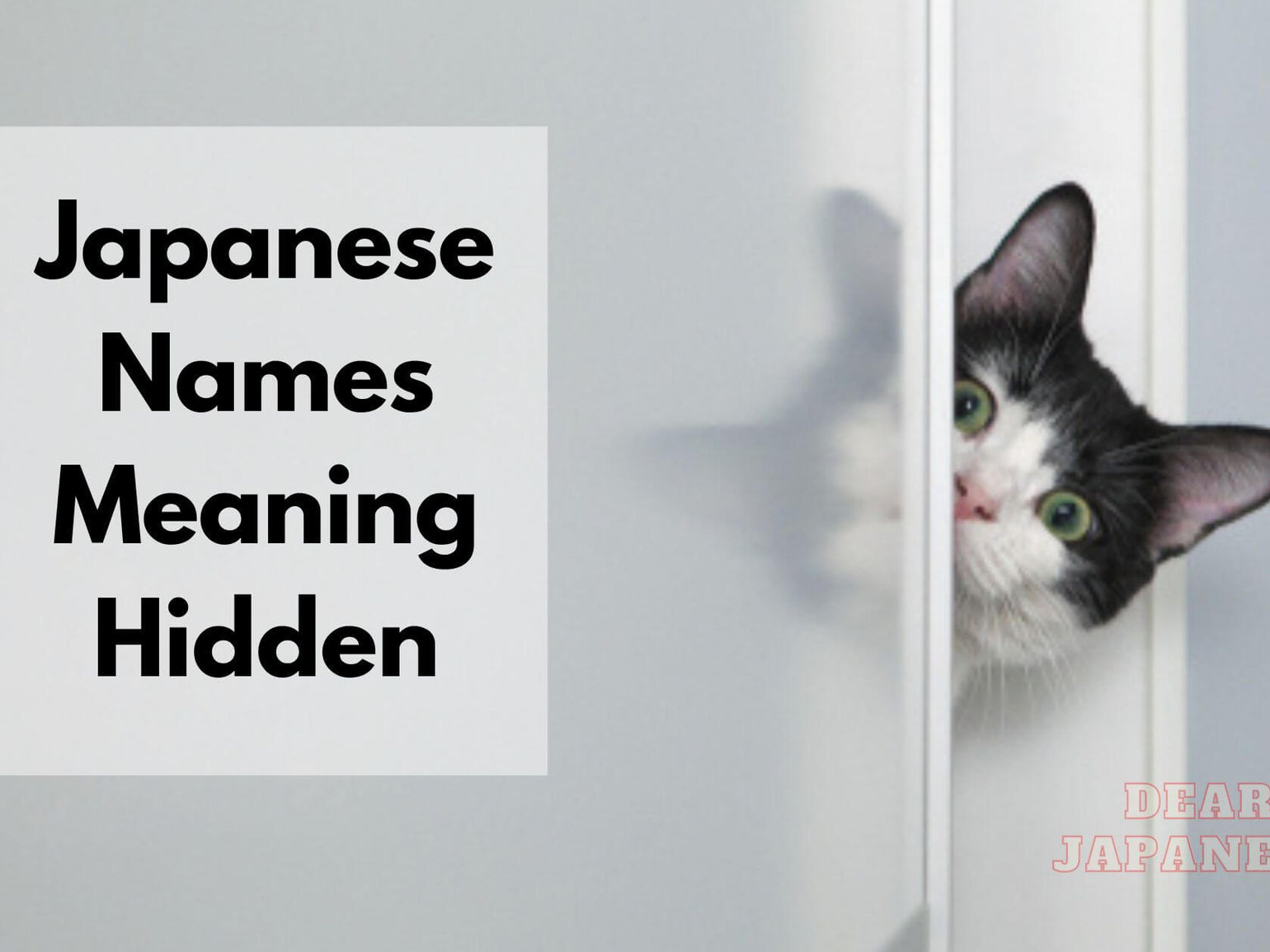 40 Japanese Names Meaning Justice – Japan Truly