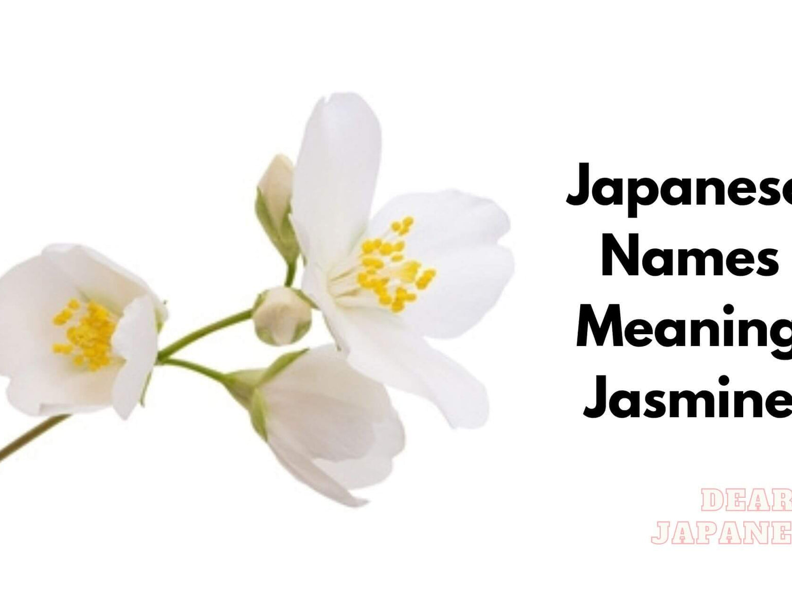 40 Japanese Names Meaning Jade – Japan Truly
