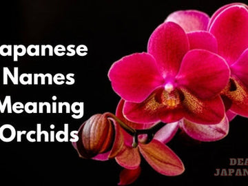 40+ Japanese Names Meaning White – Japan Truly
