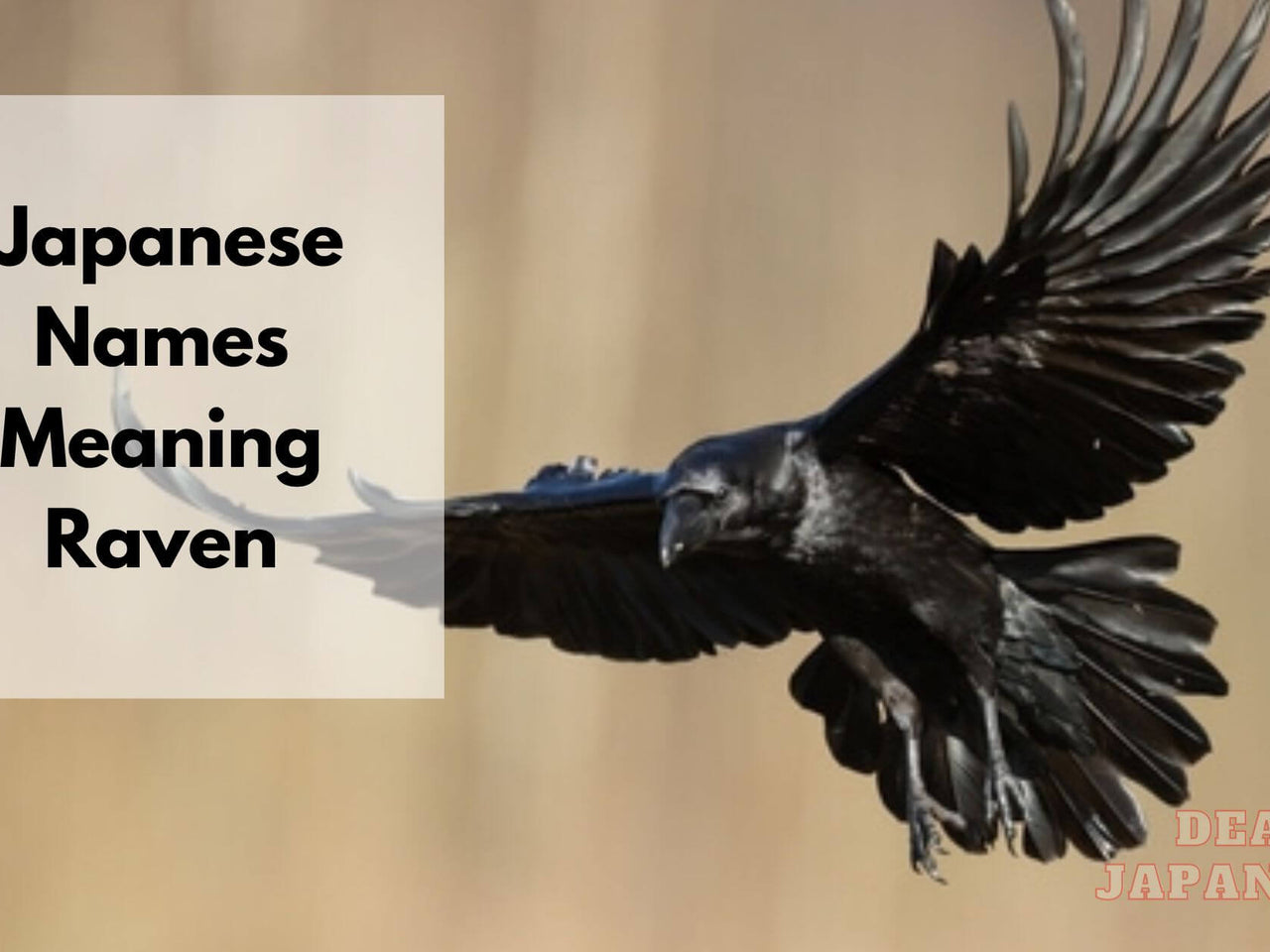 60 Cool Japanese Names Associated With Winter Season | Winter Japanese ...