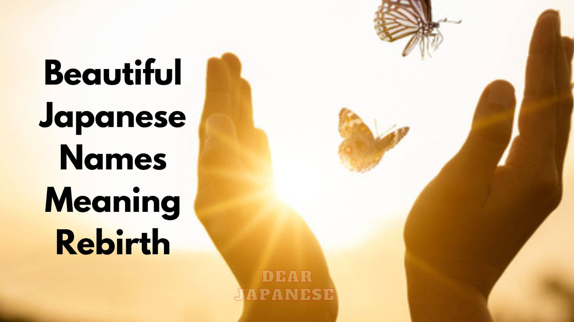 40 Japanese Names Meaning Rebirth – Japan Truly