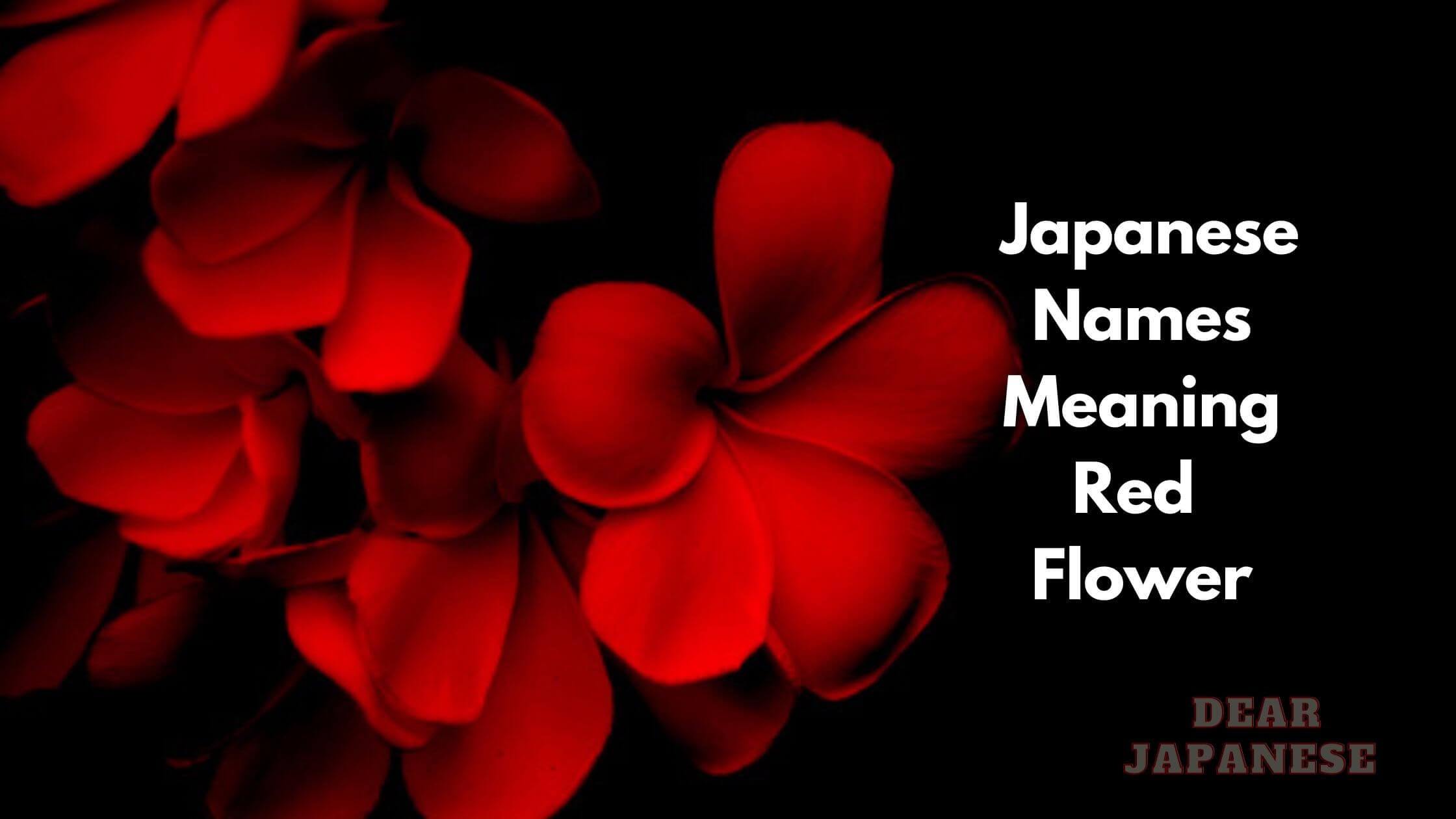20 Sweet Japanese Girl Names Meaning Red Flower – Japan Truly