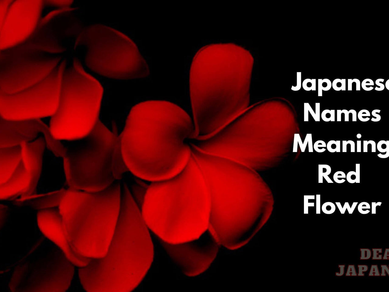 60 Cool Japanese Names Associated With Winter Season | Winter Japanese ...