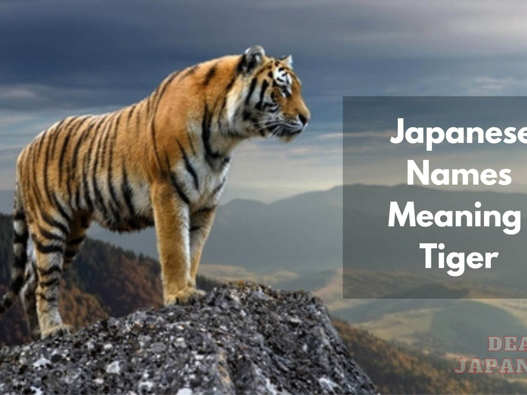 40 Japanese Names Meaning Innocent – Japan Truly