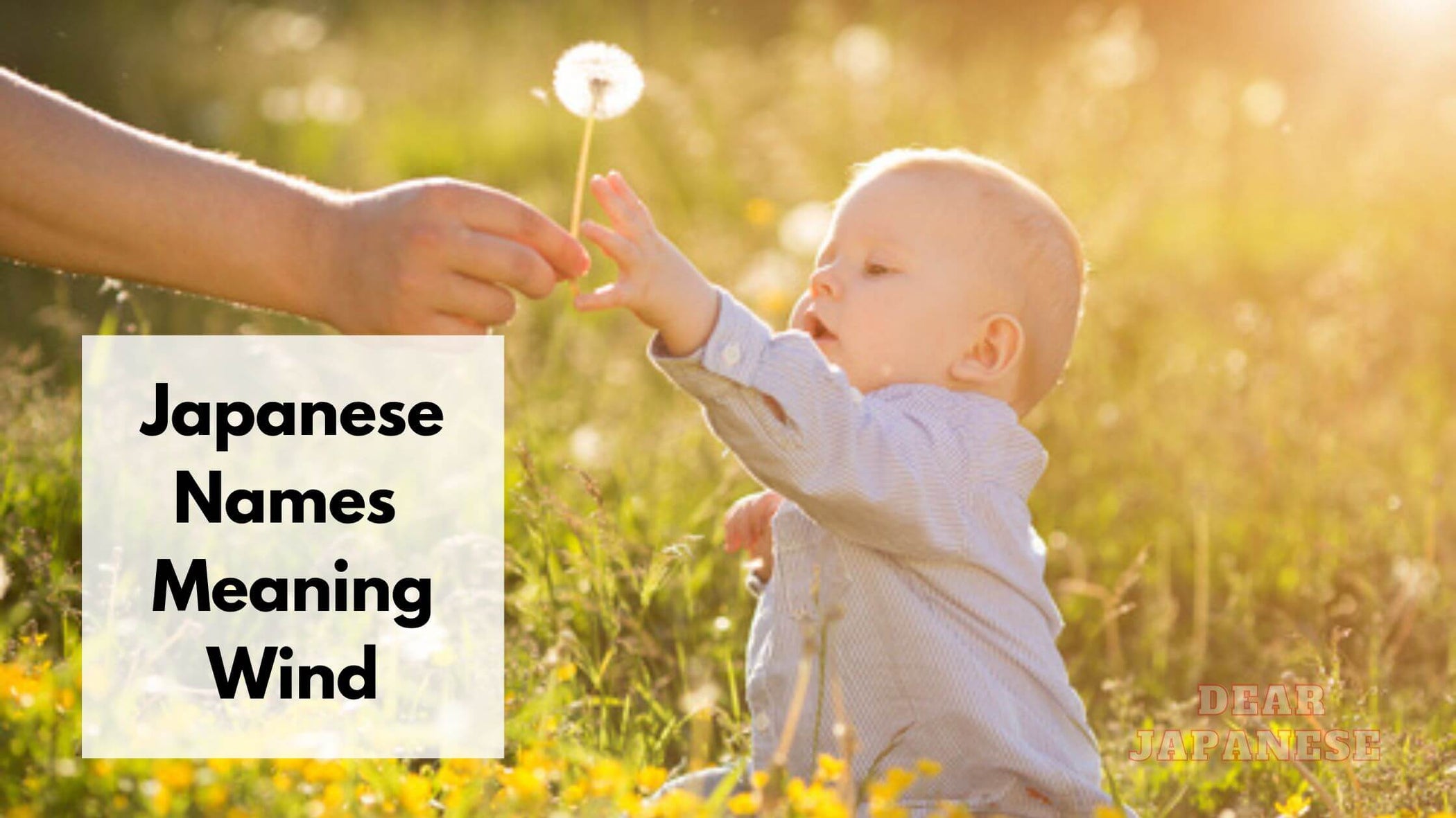 40+ Japanese Names Meaning Wind – Japan Truly