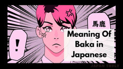 What Does Baka Mean In Japanese? – Japan Truly