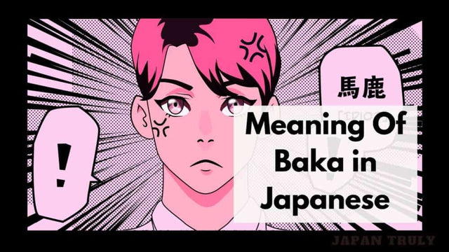 What Does Baka Mean In Japanese? – Japan Truly
