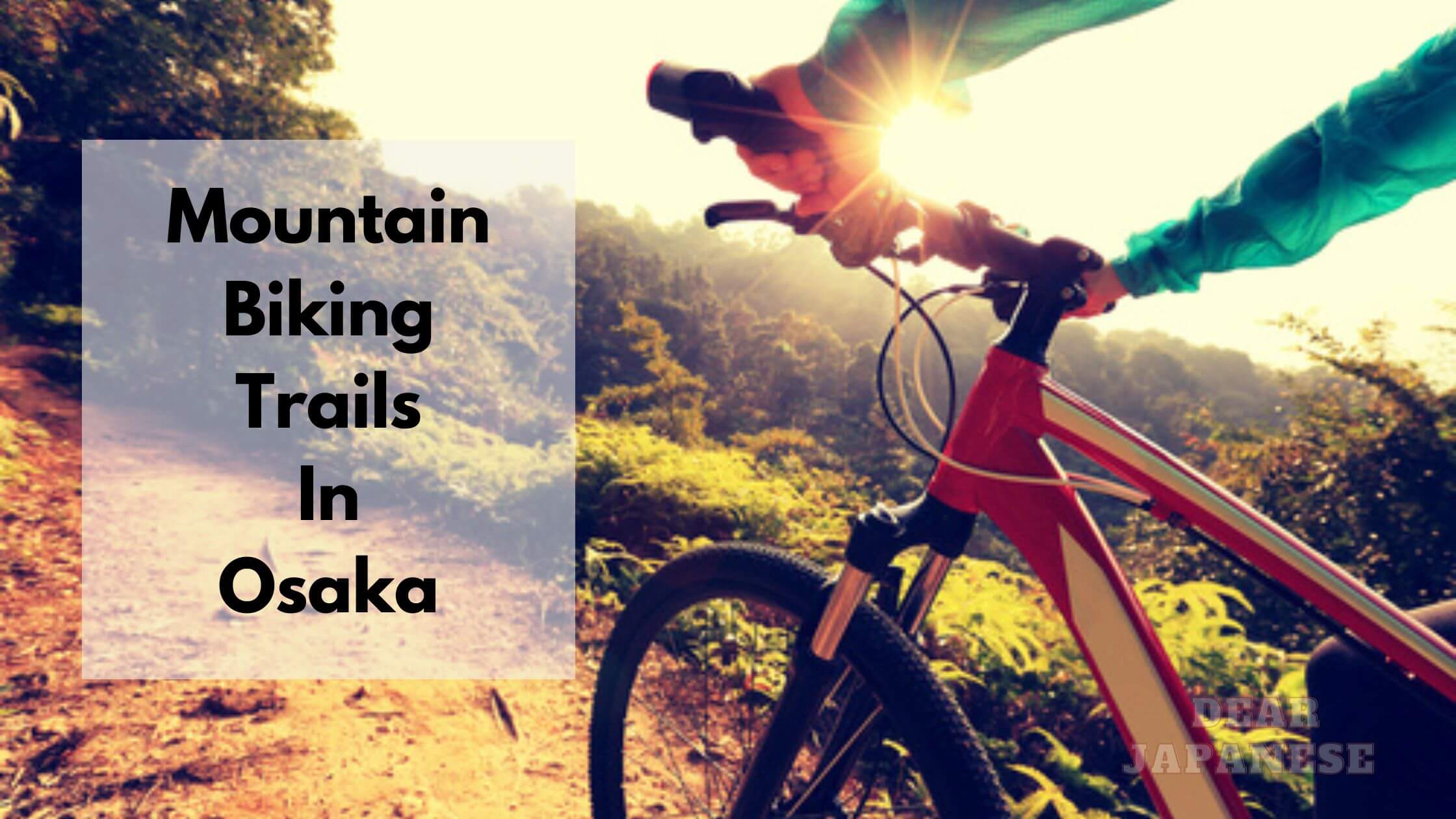 10 Mountain Biking Trails In Osaka – Japan Truly