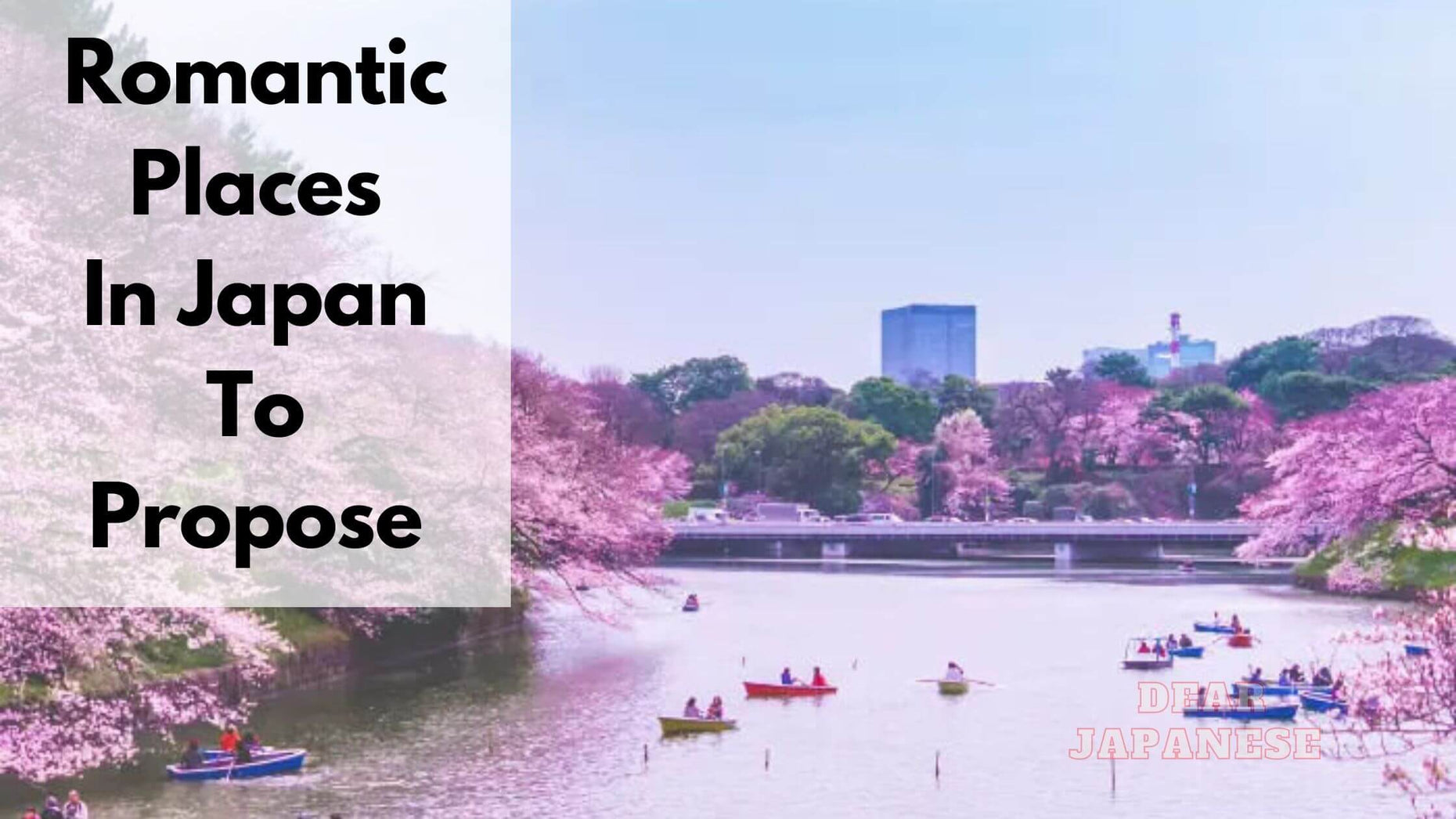 15 Most Romantic Places to Propose In Japan – Japan Truly