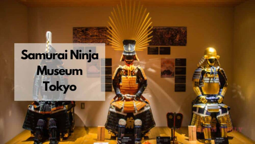Samurai Ninja Museum Tokyo: Immersive Experiences In The Heart of Japa ...