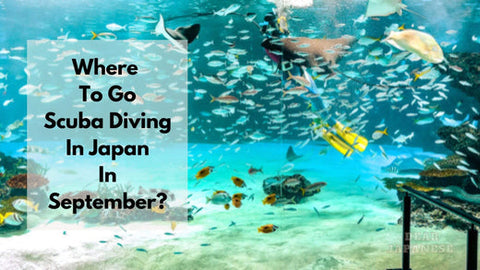 Where To Go Scuba Diving In Japan In September? | Amazing Scuba Diving ...
