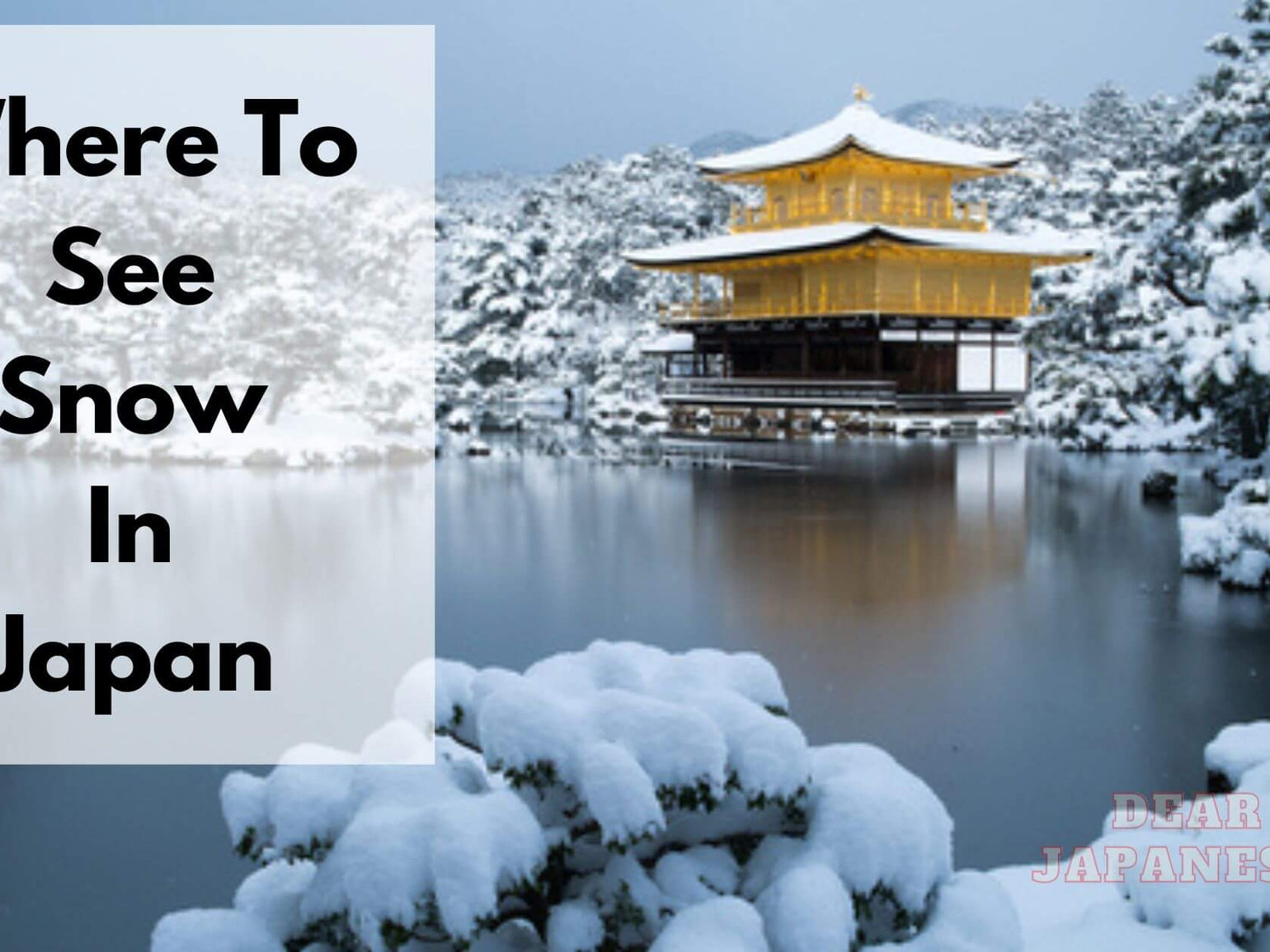 18 Non-touristy Things To Do In Japan – Japan Truly