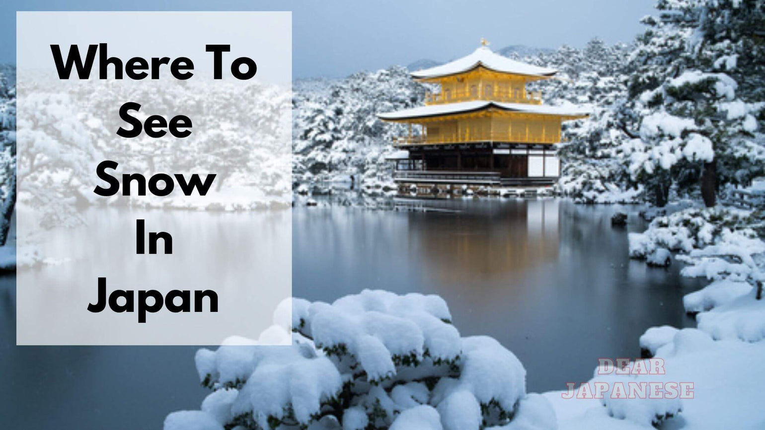 Where To See Snow in Japan? – Japan Truly