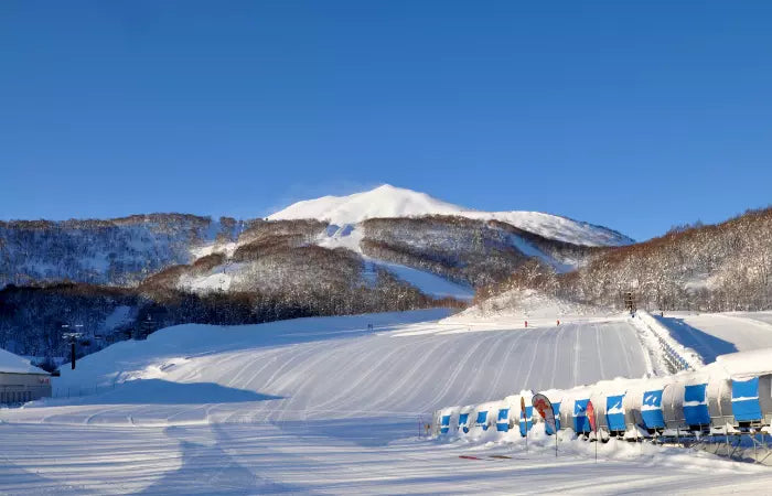 12 Most Exciting Things To Do In Japan In March 2025 – Japan Truly