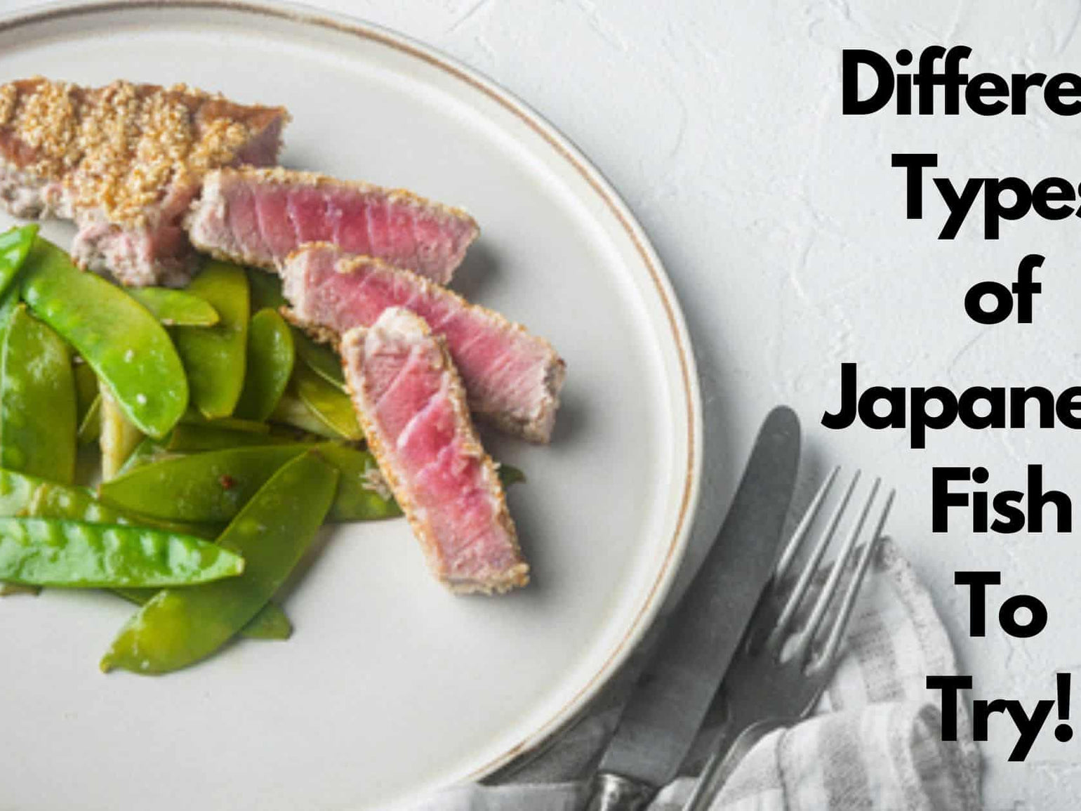 Japanese Product Review by Japan Truly – Tagged "Types of japanese fish"
