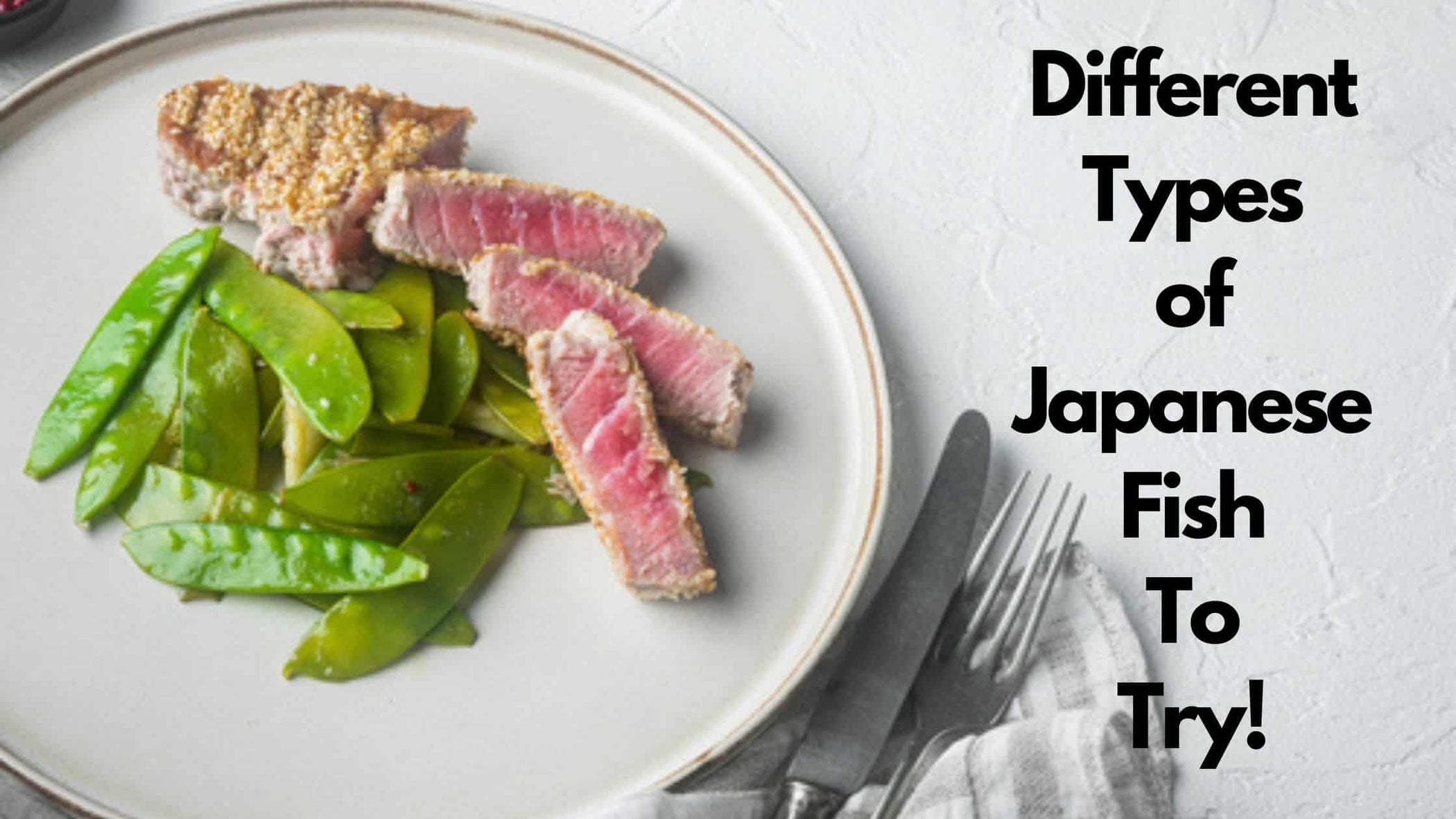 14 Types of Japanese Fish To Try! – Japan Truly