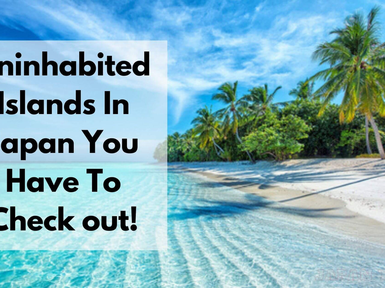 24 Amazing Things to Do in Japan In Spring 2025 – Japan Truly