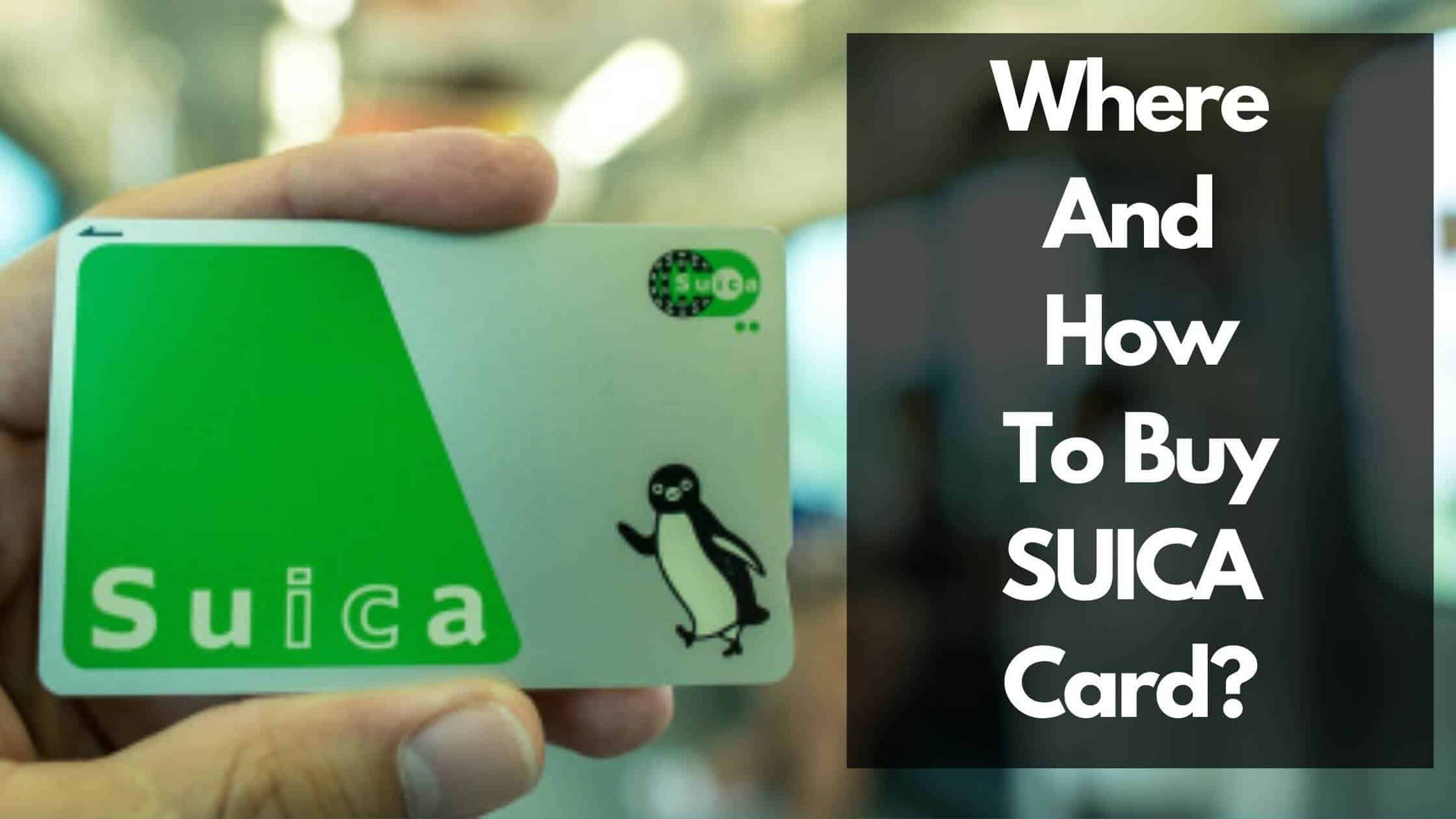 Where and How to Buy Suica Card In Japan? – Japan Truly
