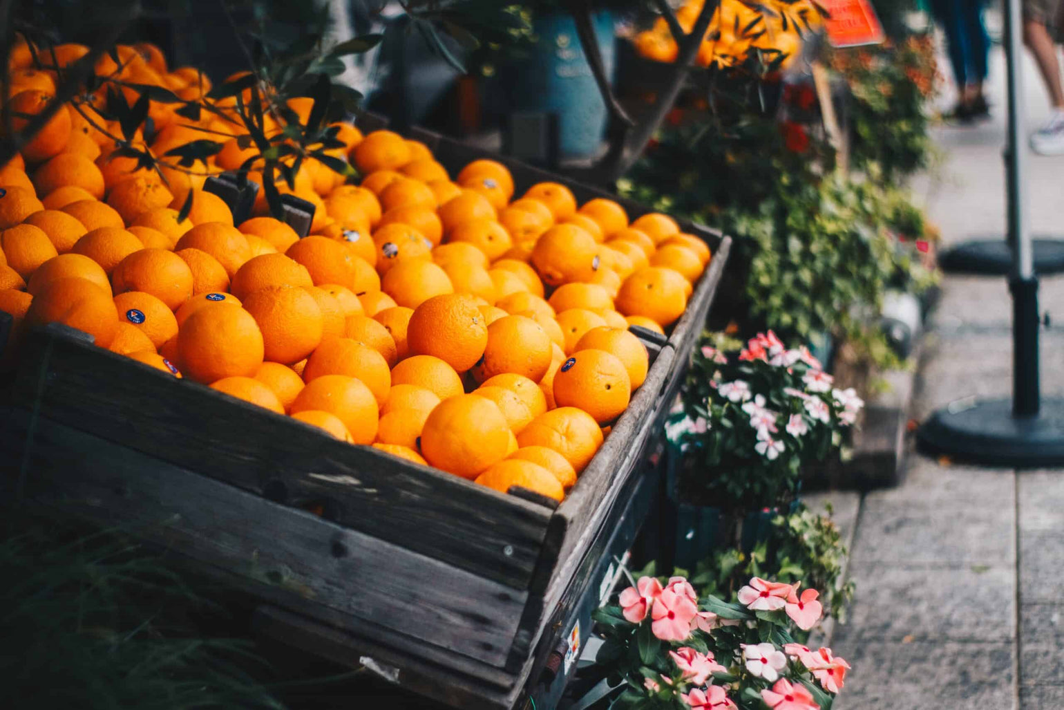 Why Are Japanese Fruits So Expensive? – Japan Truly